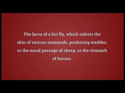 Bot Meaning