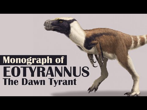 Monograph of Eotyrannus, The Dawn Tyrant