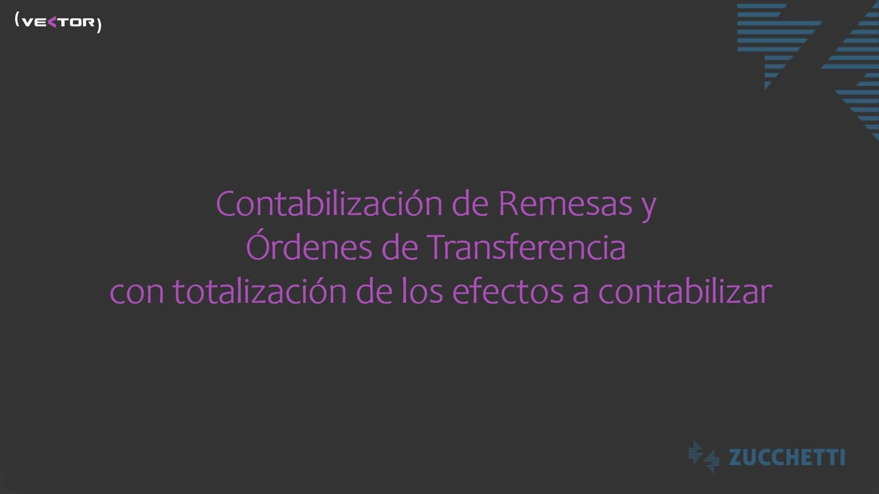 Presentación Vector 2024