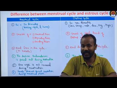 Menstrual cycle: Part-09: Menstrual cycle Vs Estrous cycle: By Anand Sir
