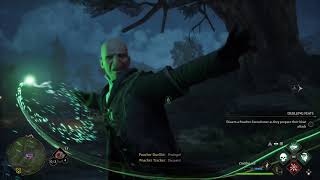 Dark Lord Voldemort at Hogwarts Legacy Nexus - Mods and community