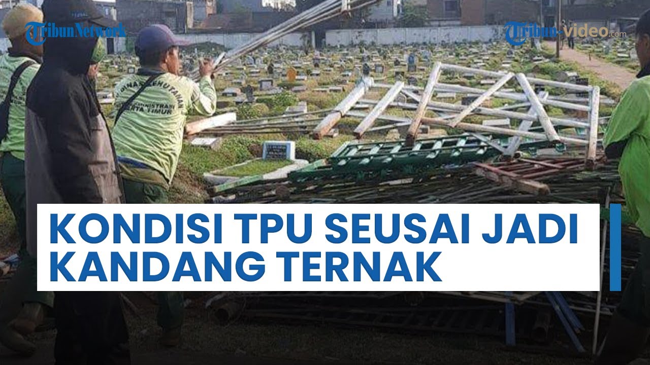Viral TPU Prumpung Jadi Kandang Ternak, Dapat Beragam Respons hingga ...