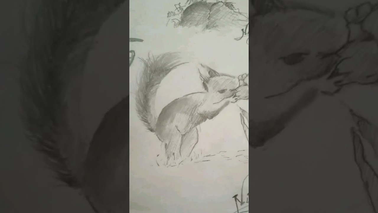 animal sketch........🐞🐿🐜🎨🖌/ pencil drawing animals easy......🐜🐿🖌🎨/
