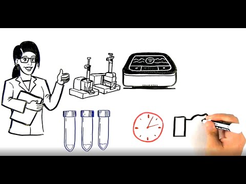 Unlock the Power of Electroporation with Neon NxT