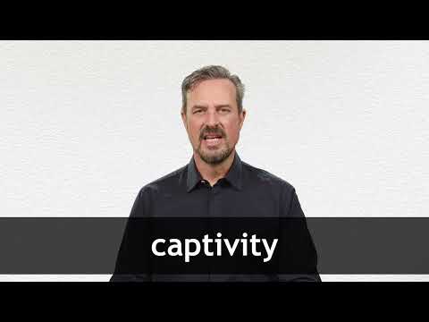 CAPTIVITY definition and meaning | Collins English Dictionary