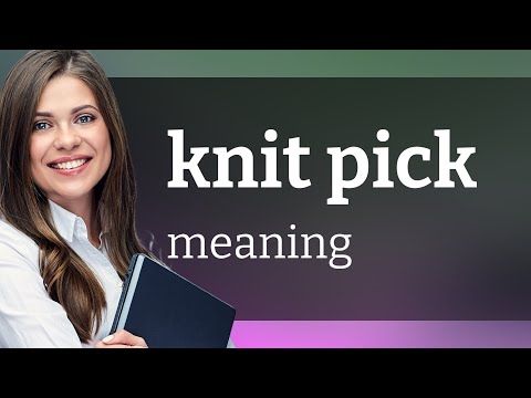 Unraveling the Meaning of "Nitpick"