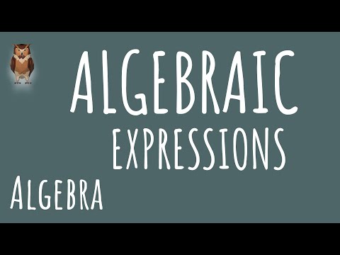 What are Algebraic Expressions? ALGEBRA