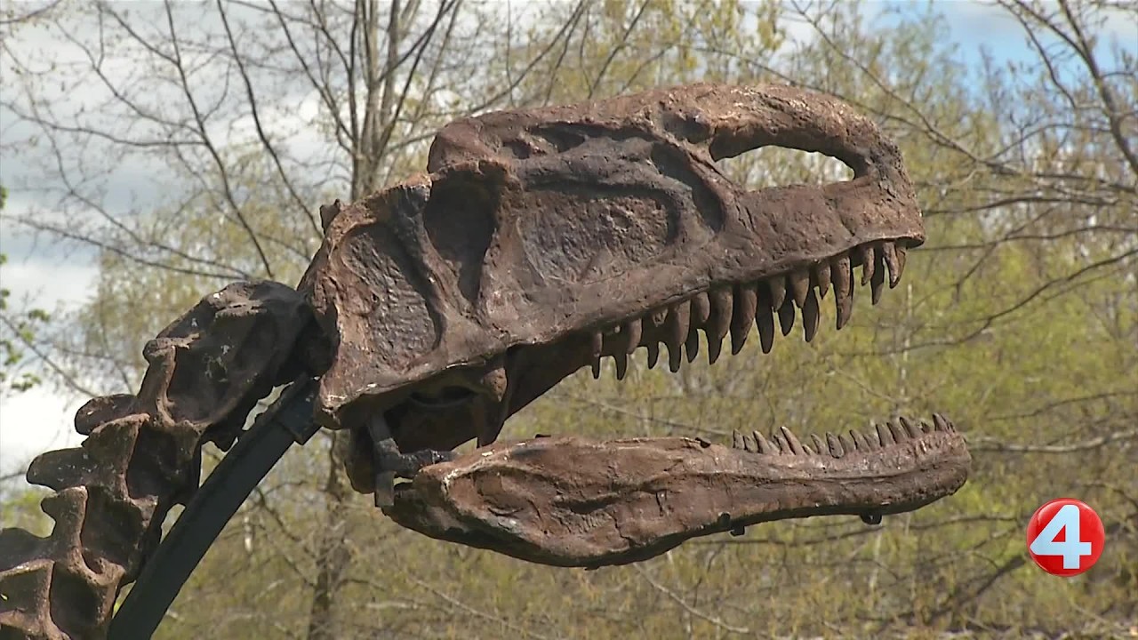Buffalo Zoo hosts Destination Dinosaur exhibit