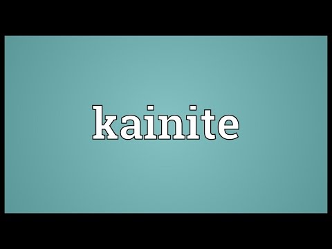 Kainite Meaning