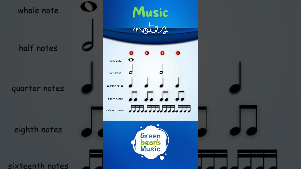 Music Notes | Note Values | Green Bean's Music