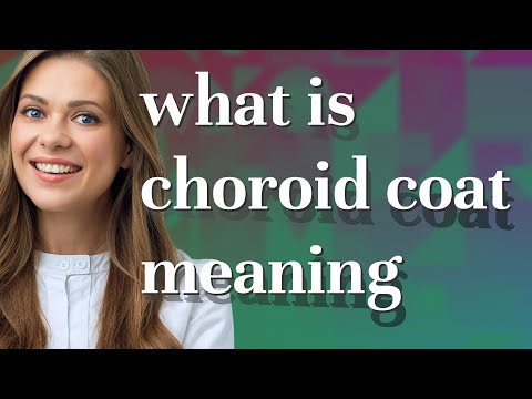 Choroid coat | meaning of Choroid coat