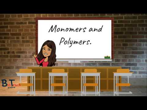 Monomers and Polymers A Level Biology/BTEC Applied Science - BioTeach