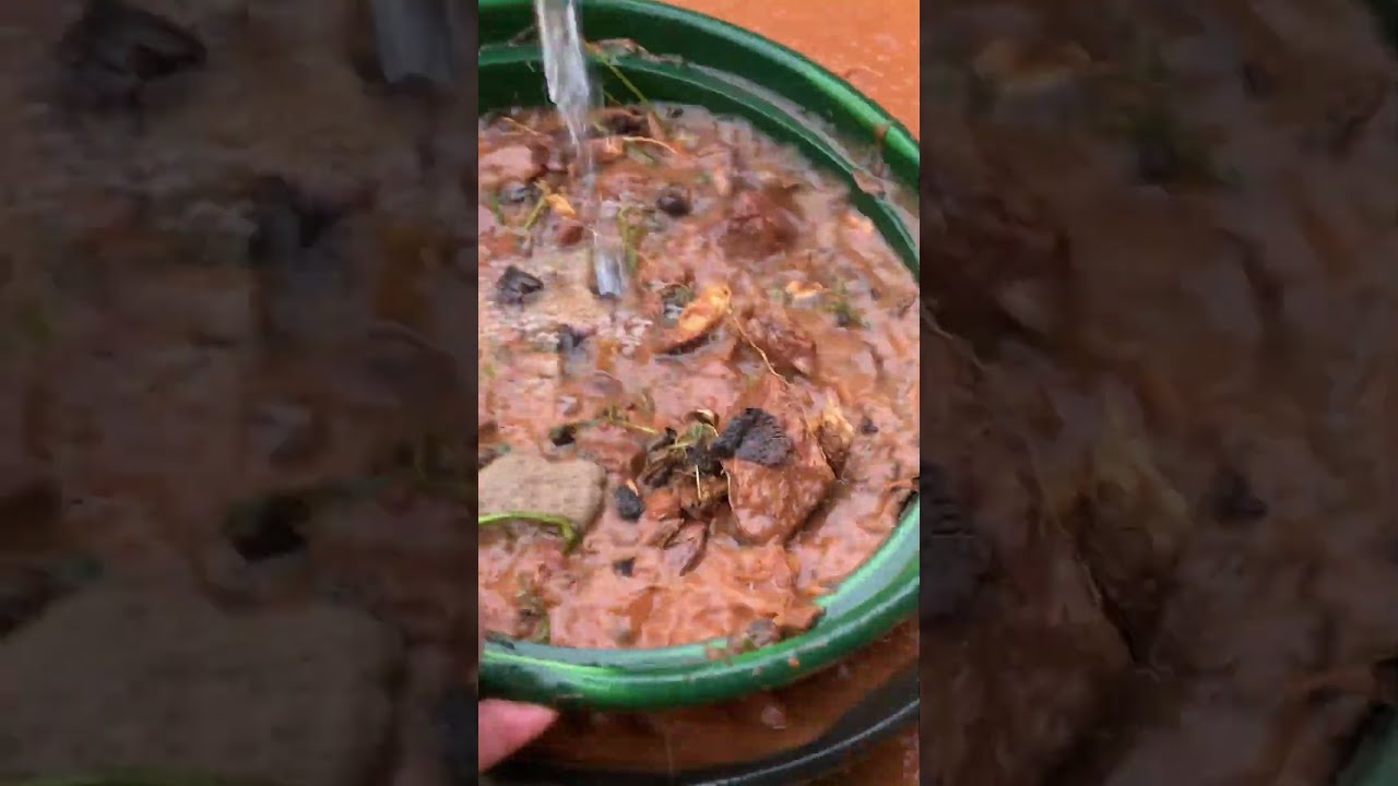 Working On A Ruby Farm. Harvesting The Precious Gemstones, Red and Pink Sapphires in North Carolina.