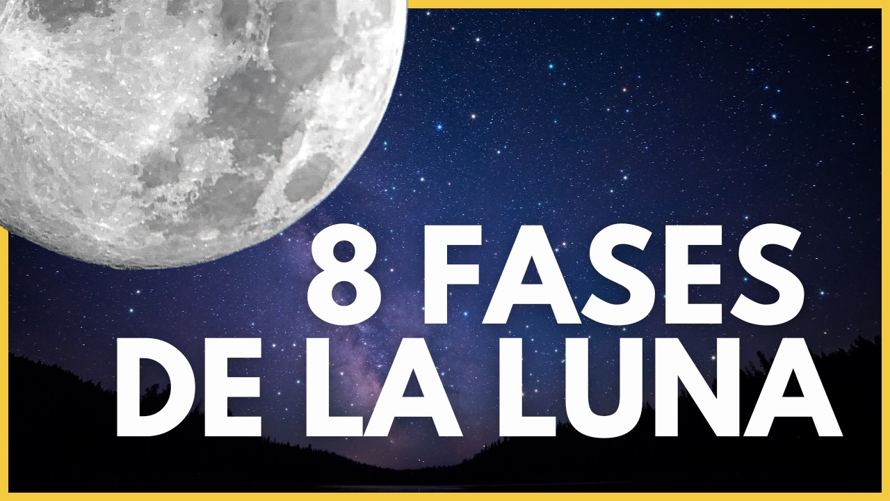 Phases of the Moon 🌙 Did you know the moon has 8 different phases? | Learn all the phases of the ...