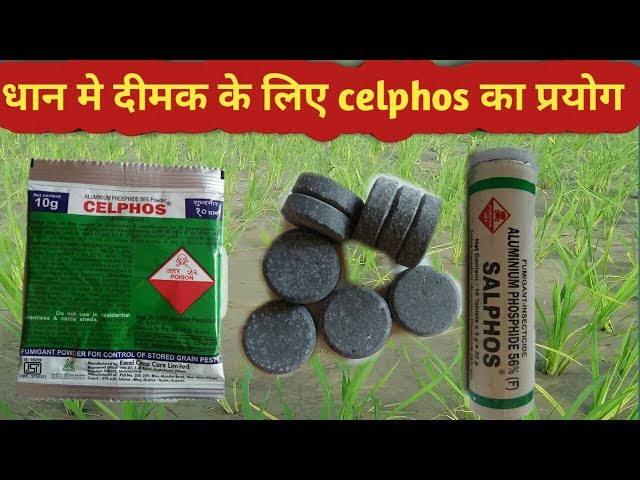 Fumigation - Celphos Tablet Aluminium Phosphide 56% F 1Kg Bottle Trader ...