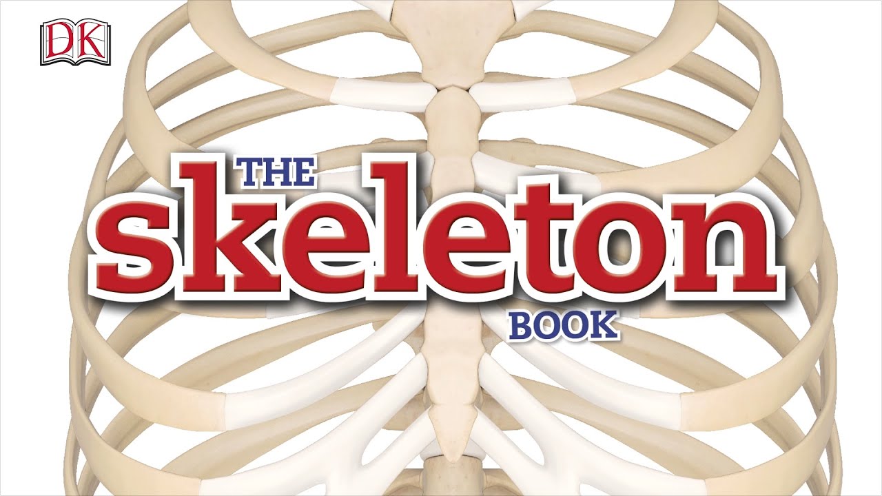 The Skeleton Book: What are bones made of?