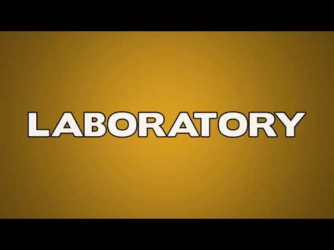 Laboratory Meaning – English Video Dictionary