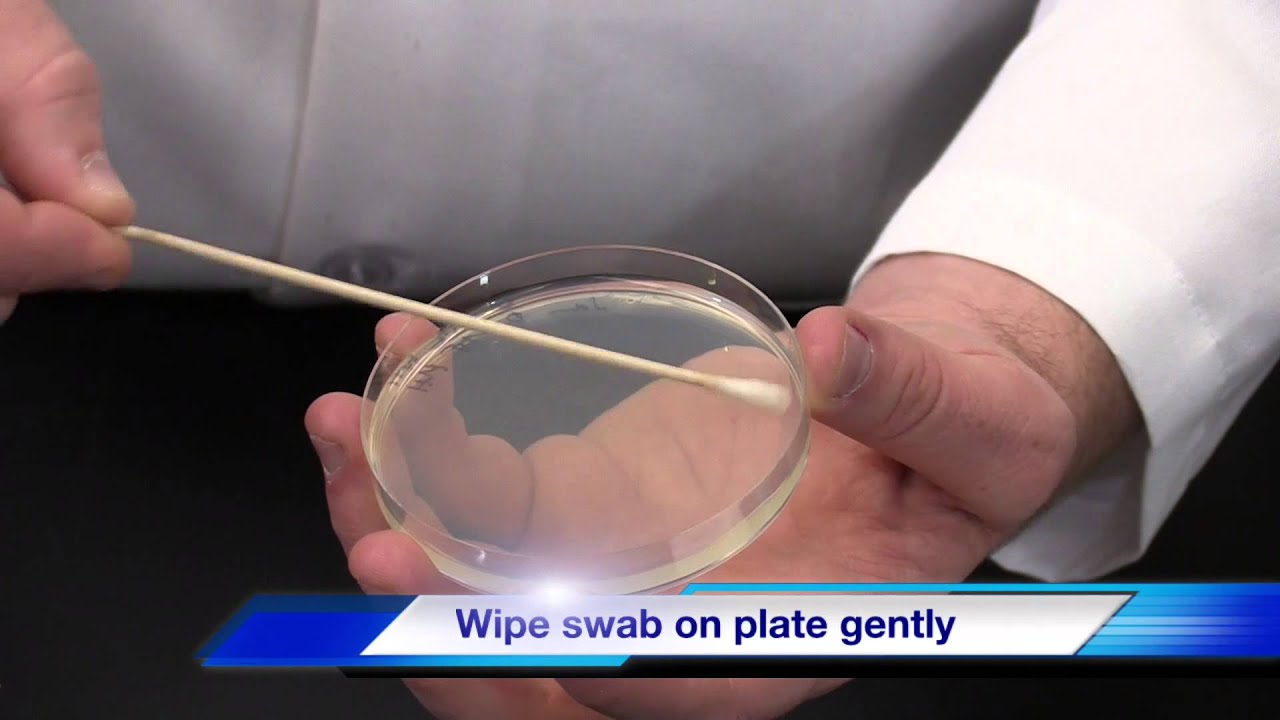 Kirby Bauer Disk Diffusion Method