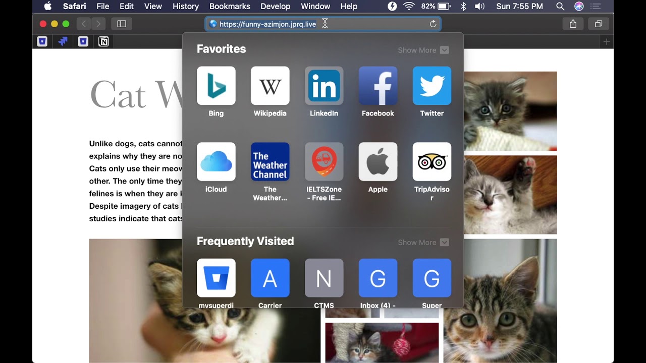 jprq demo - get your localhost online easily