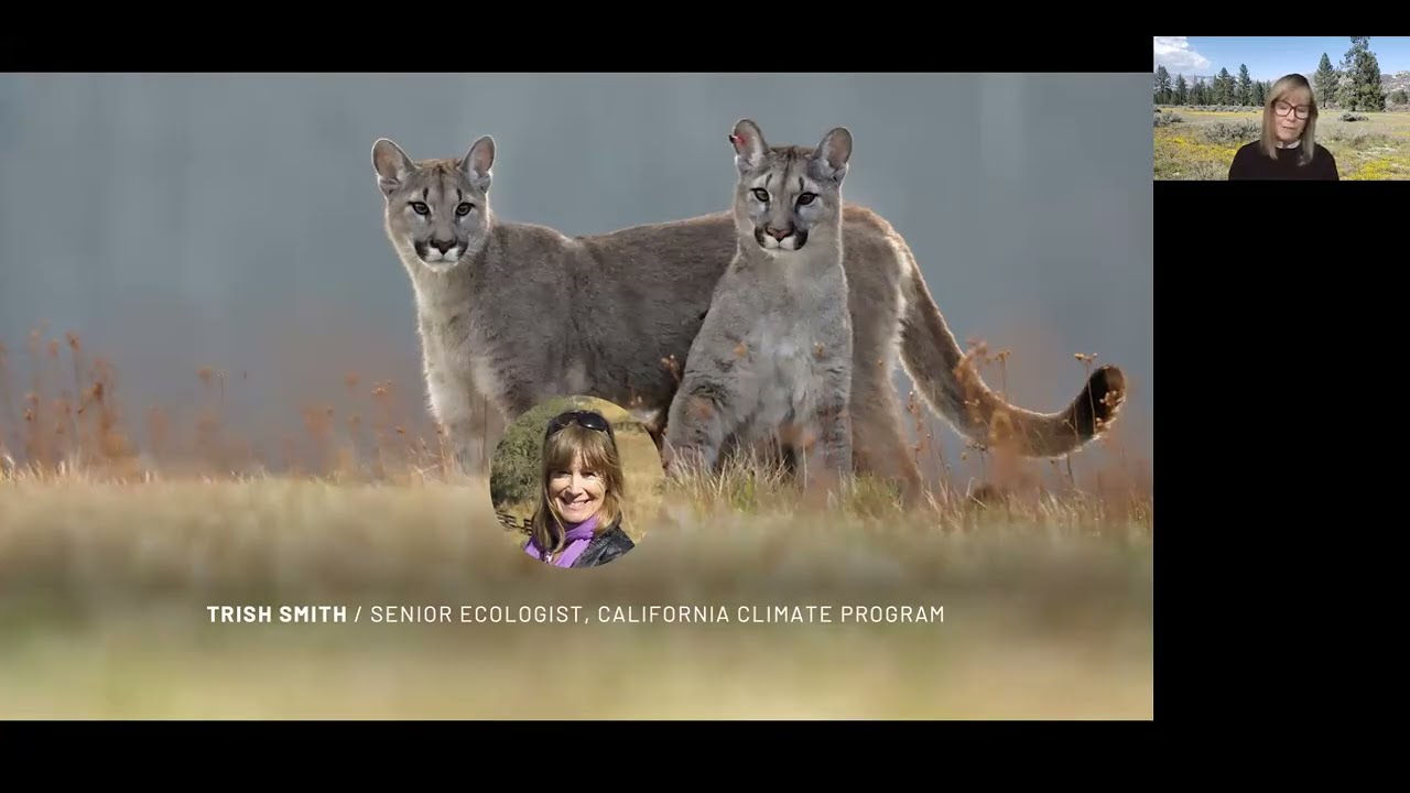 Webinar: Where Wildlands Meet Working Lands
