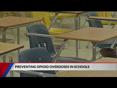 Indianapolis non-profit awarded funds to improve response to opioid overdoses in schools