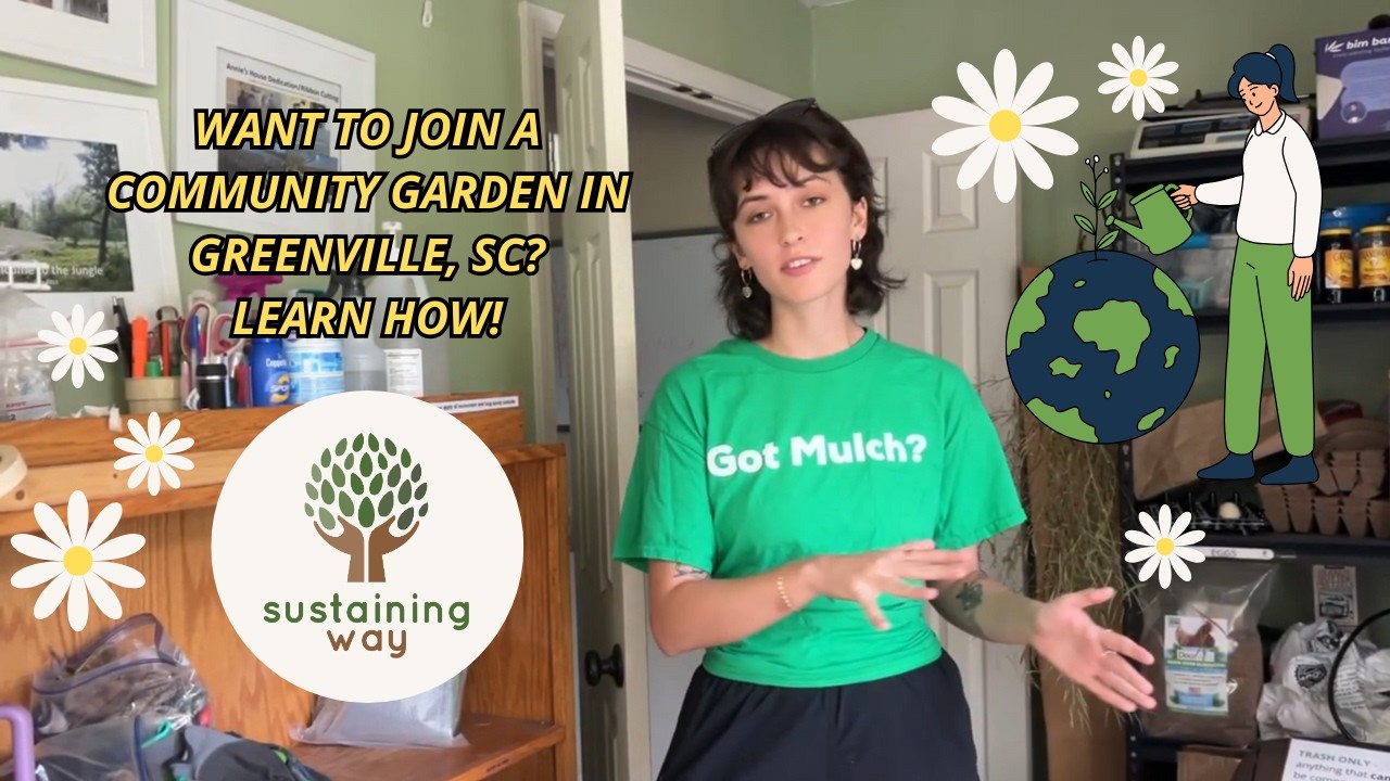 Sustaining Way Volunteer 101 (UPDATED) (2025)