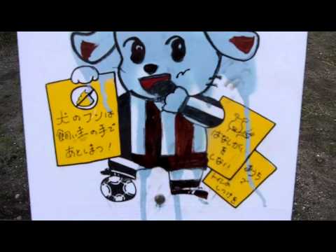 History of a Sign - Japanese Community & Japanese Lesson (See description for notes!)