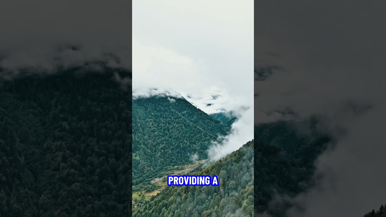 MLflow's Secret: Full Model Lineage
