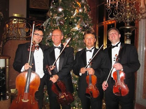 Hire Art-Strings Ensembles - String Quartet in New York City, New York