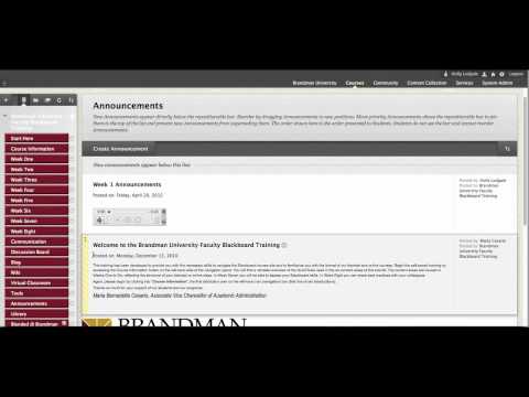 Control Panel Blackboard 9.1 Training