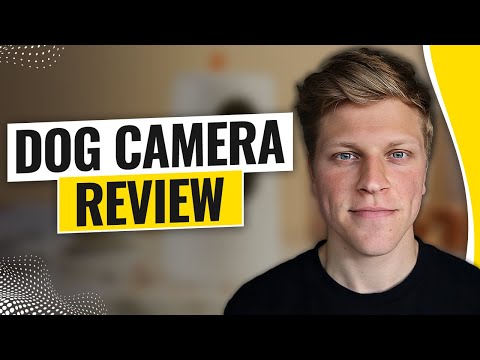 Dog Camera Review (2025)