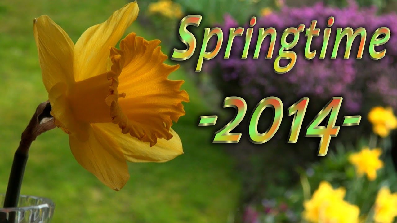 Learning English - It's Spring Again