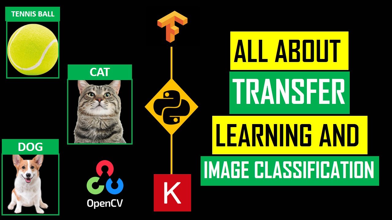 Transfer Learning For Image Classification | KNOWLEDGE DOCTOR | Chando Dhar