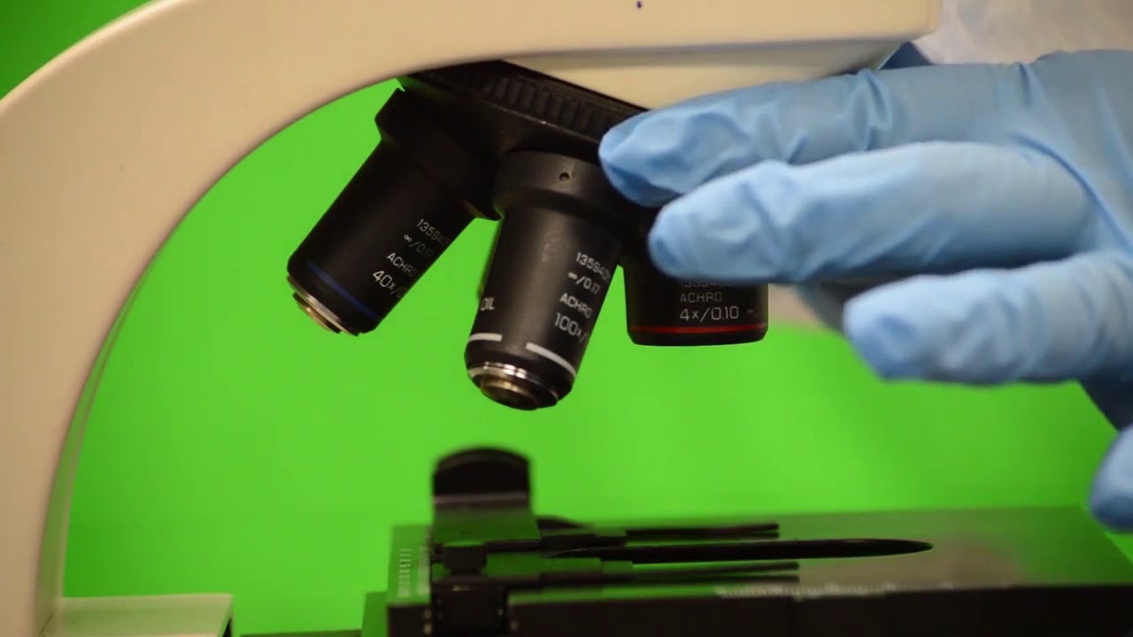 microscope use basics