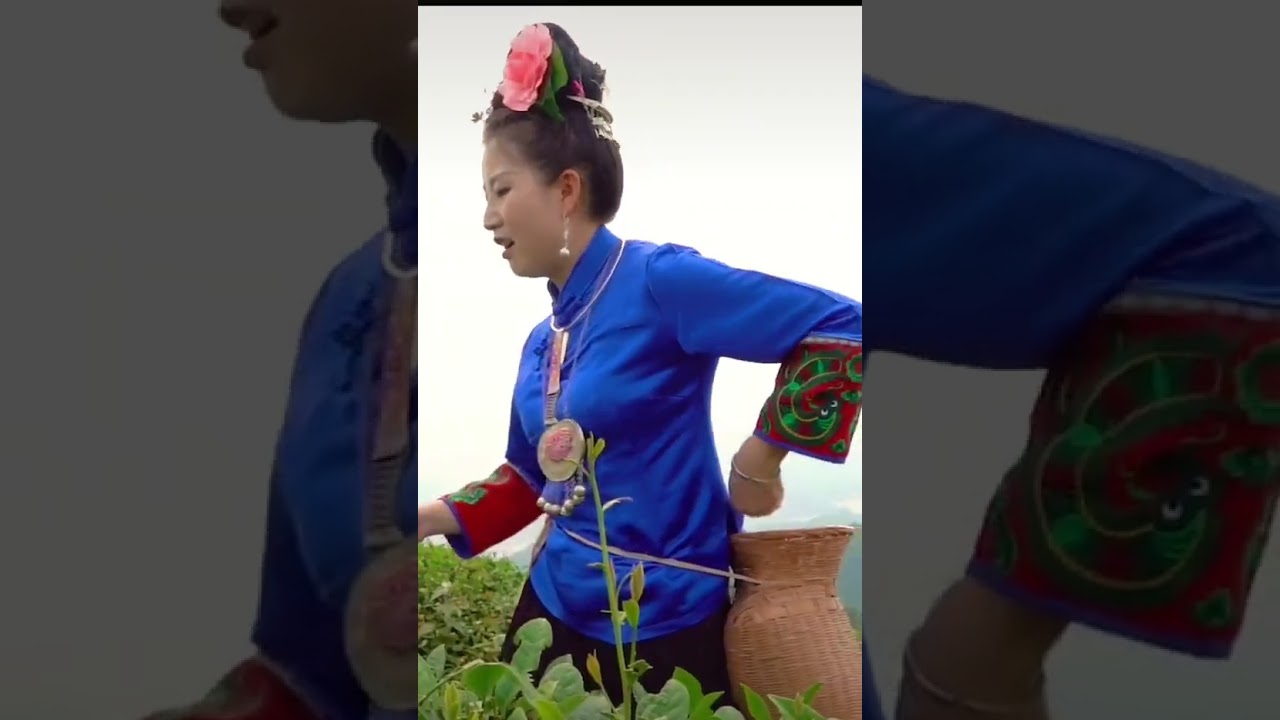 Chinese traditional tea mountain