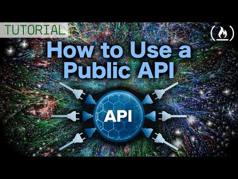 Using a Public API - Tutorial for Beginners