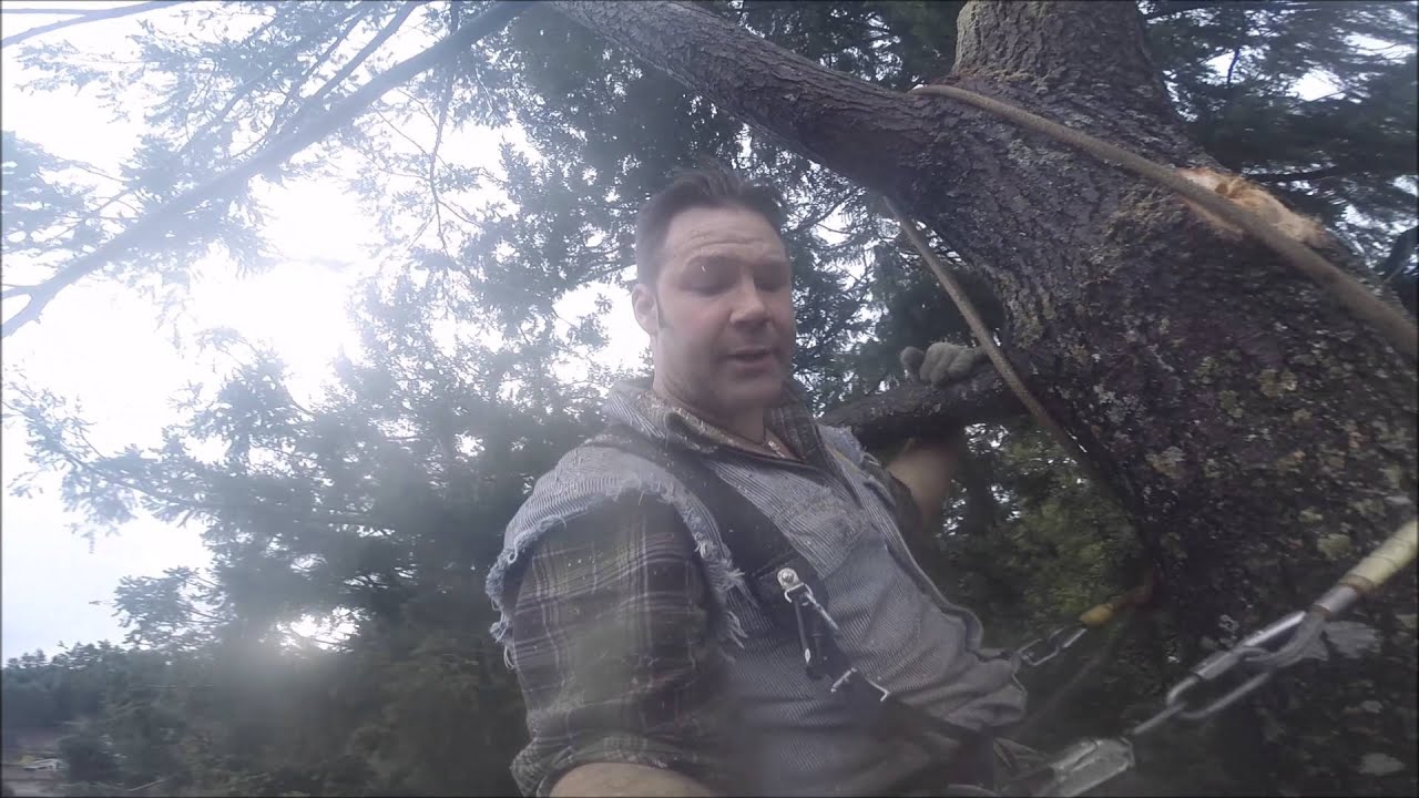 Rigging big tree tops