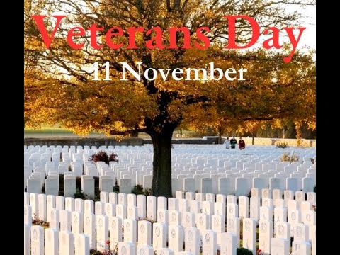 Veterans Day 🪖 November 11 #veteransday #armisticeday #remembranceday holidays