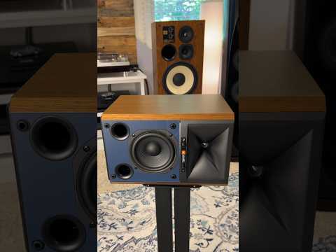 JBL 4305p Active Speaker Quick Unboxing
