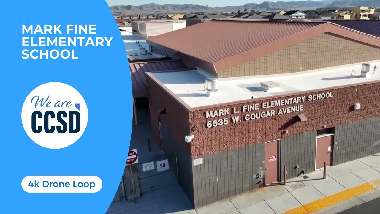 Mark Fine Elementary School - 4k Drone Loop