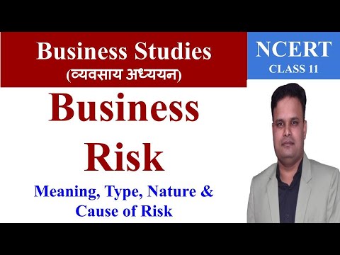 Business Risk, causes of business risk, business risk class 11 chapter 1 Business Studies Class 11,