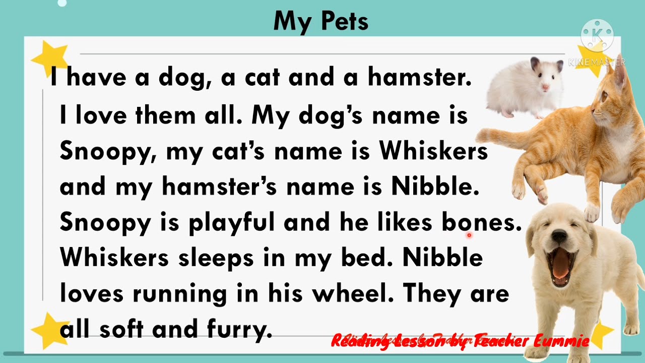 Short Story for Grade 3 with Comprehension