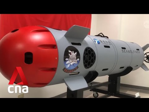 Taiwan beefs up self-defence capabilities: To roll out its first ...