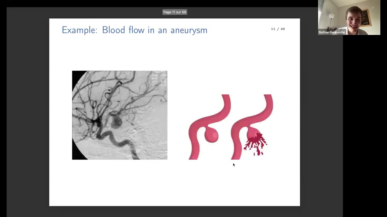 Nathan Doumèche: Physics-Informed Machine Learning as a Kernel Method