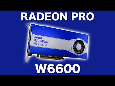 Radeon Pro W6600 Review | Productivity and Gaming Benchmarks