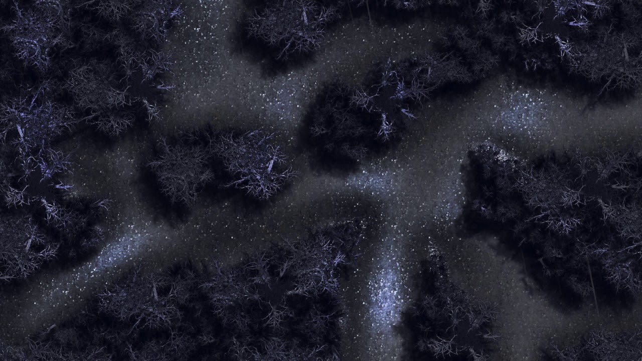 Dark forest with rain battle map