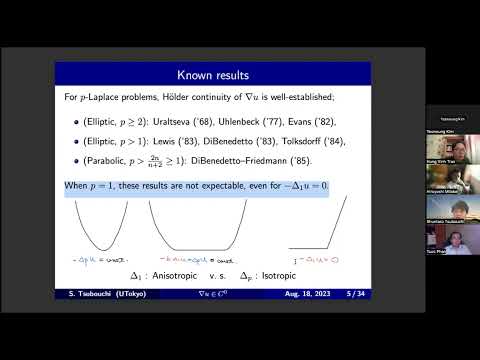 Shuntaro Tsubouchi (Tokyo) - Continuity of a spatial derivative for perturbed singular equations