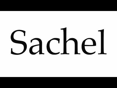 How to Pronounce Sachel