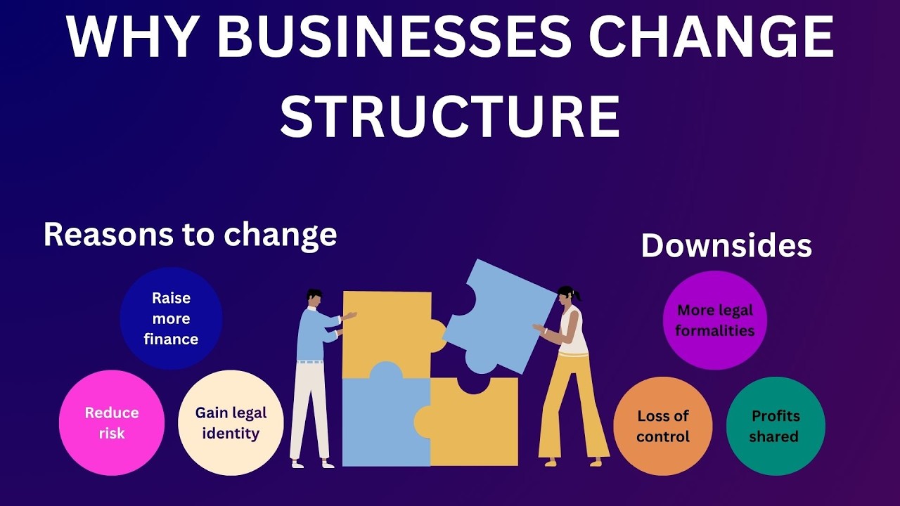 Business Studies Chapter 2: Business Structure Basics