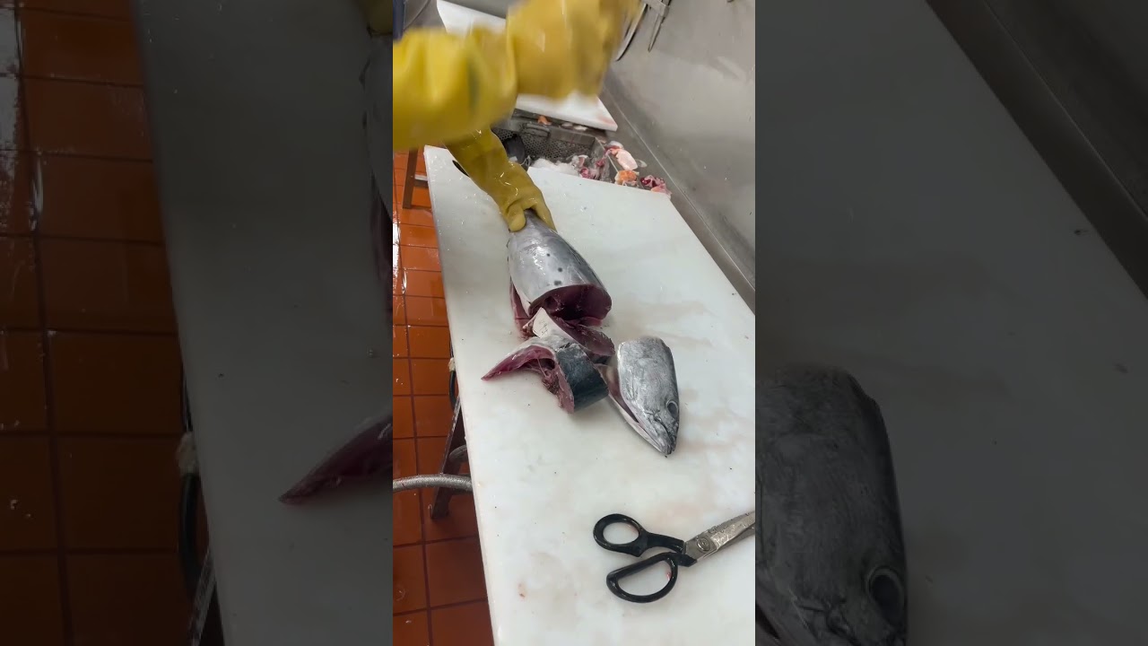 #viral #parati  el famoso pescado bonito